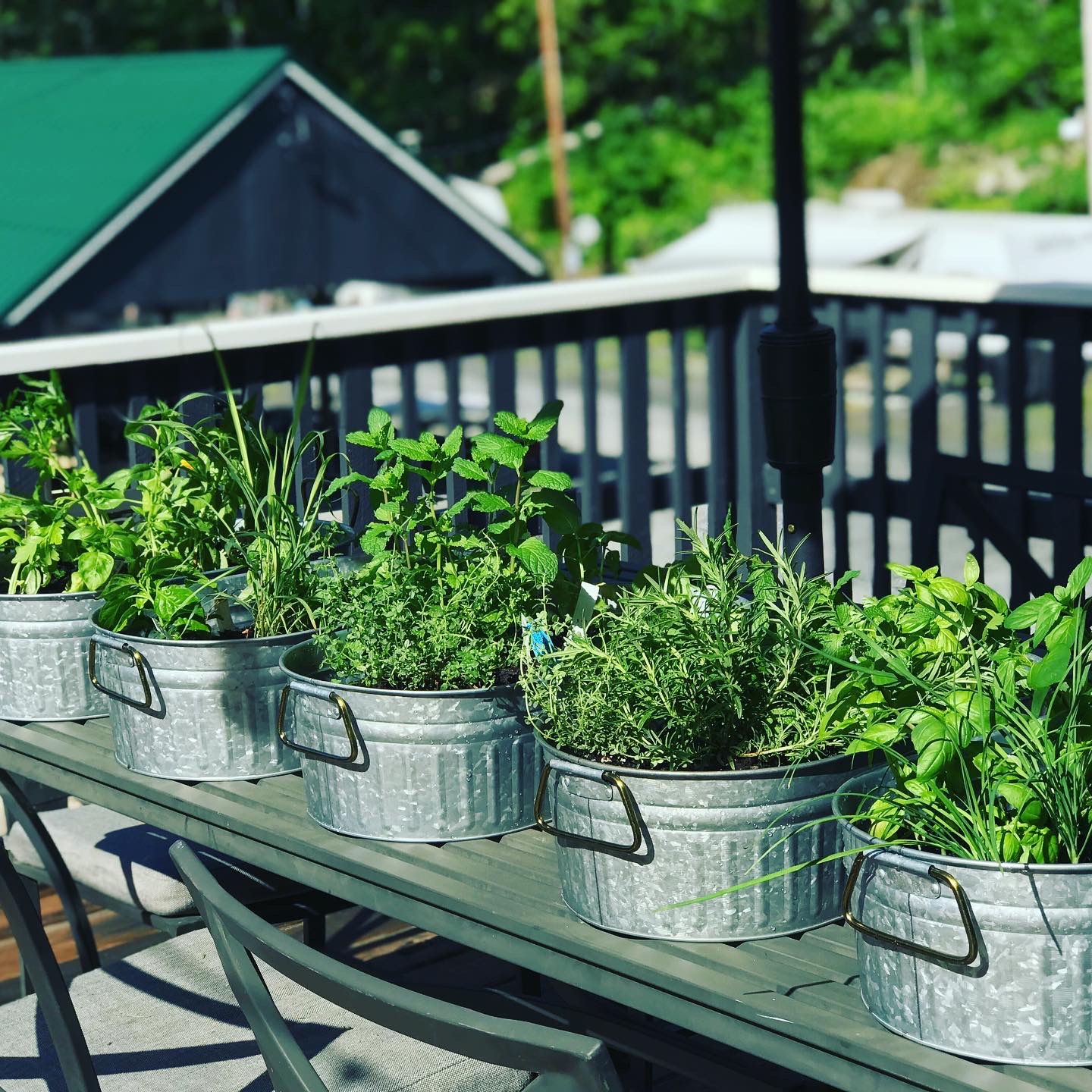 Treetopia Airstream Hotel and RV Campground | Great Northern Catskills ...