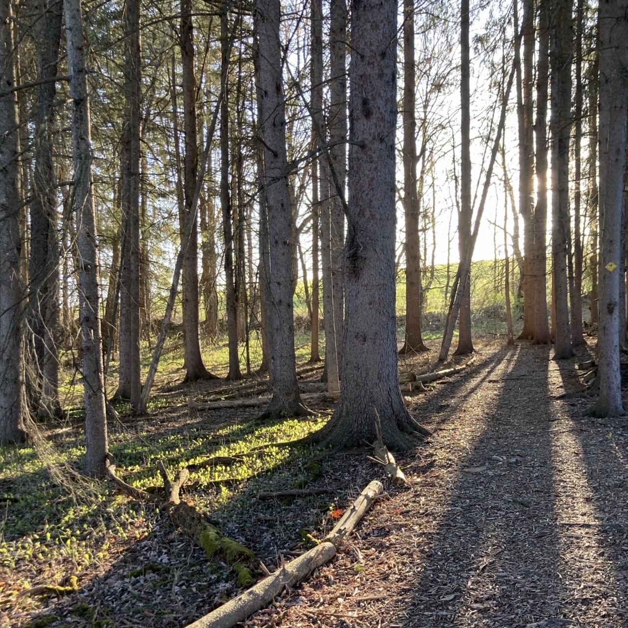 George V. Vanderbilt Town Park | Great Northern Catskills
