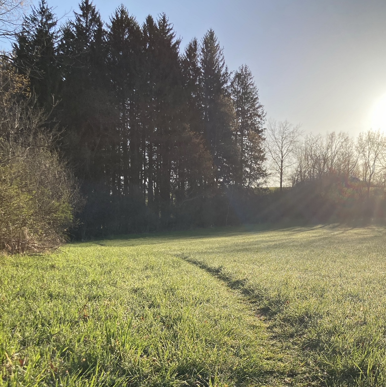George V. Vanderbilt Town Park | Great Northern Catskills