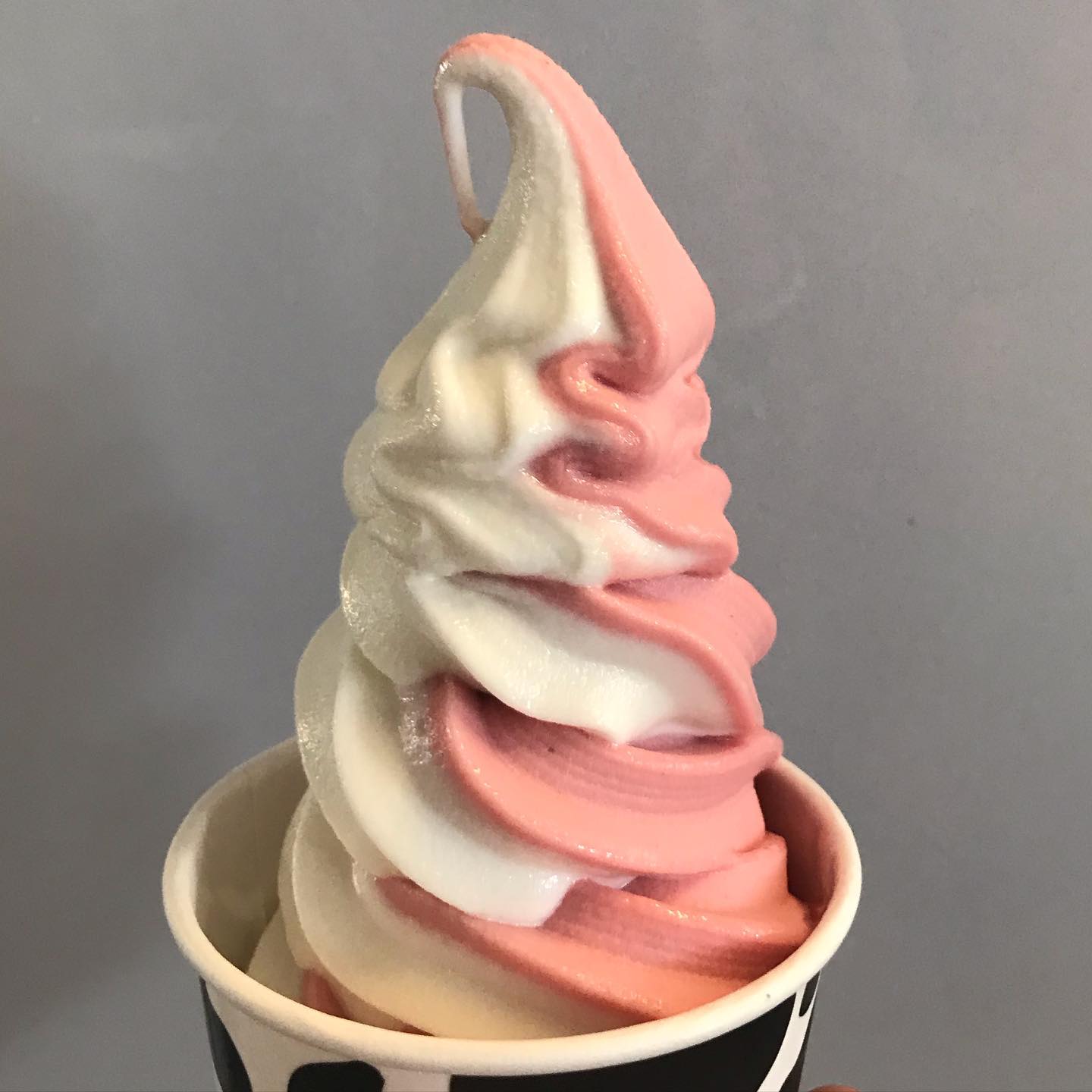 Sweet Side Ice Cream | Great Northern Catskills of Greene County