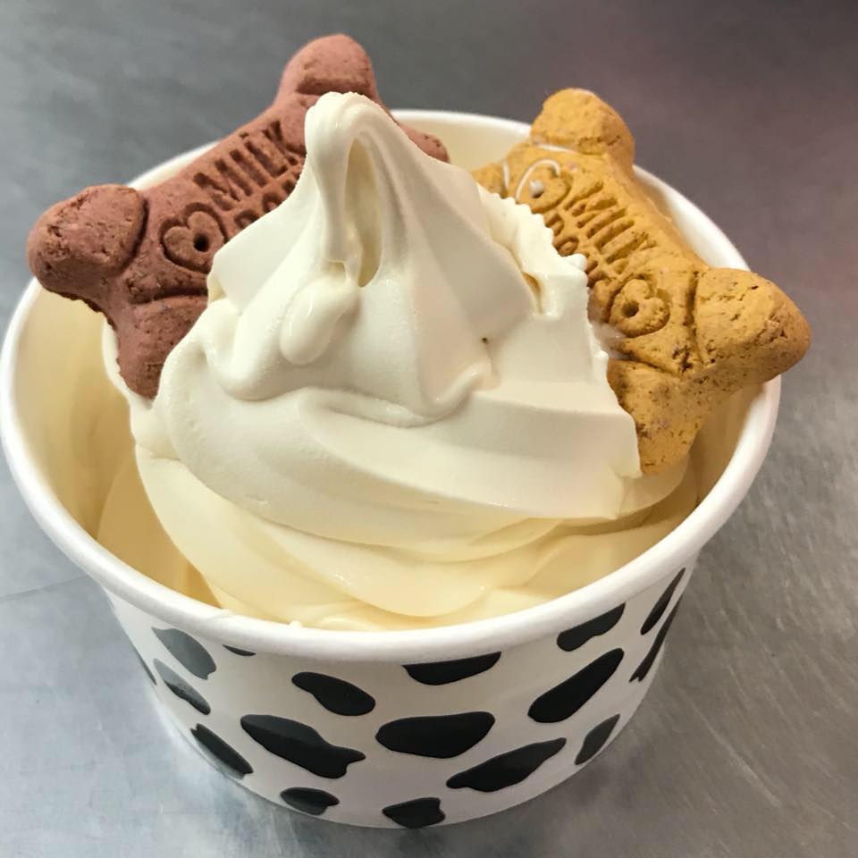 Sweet Side Ice Cream | Great Northern Catskills of Greene County