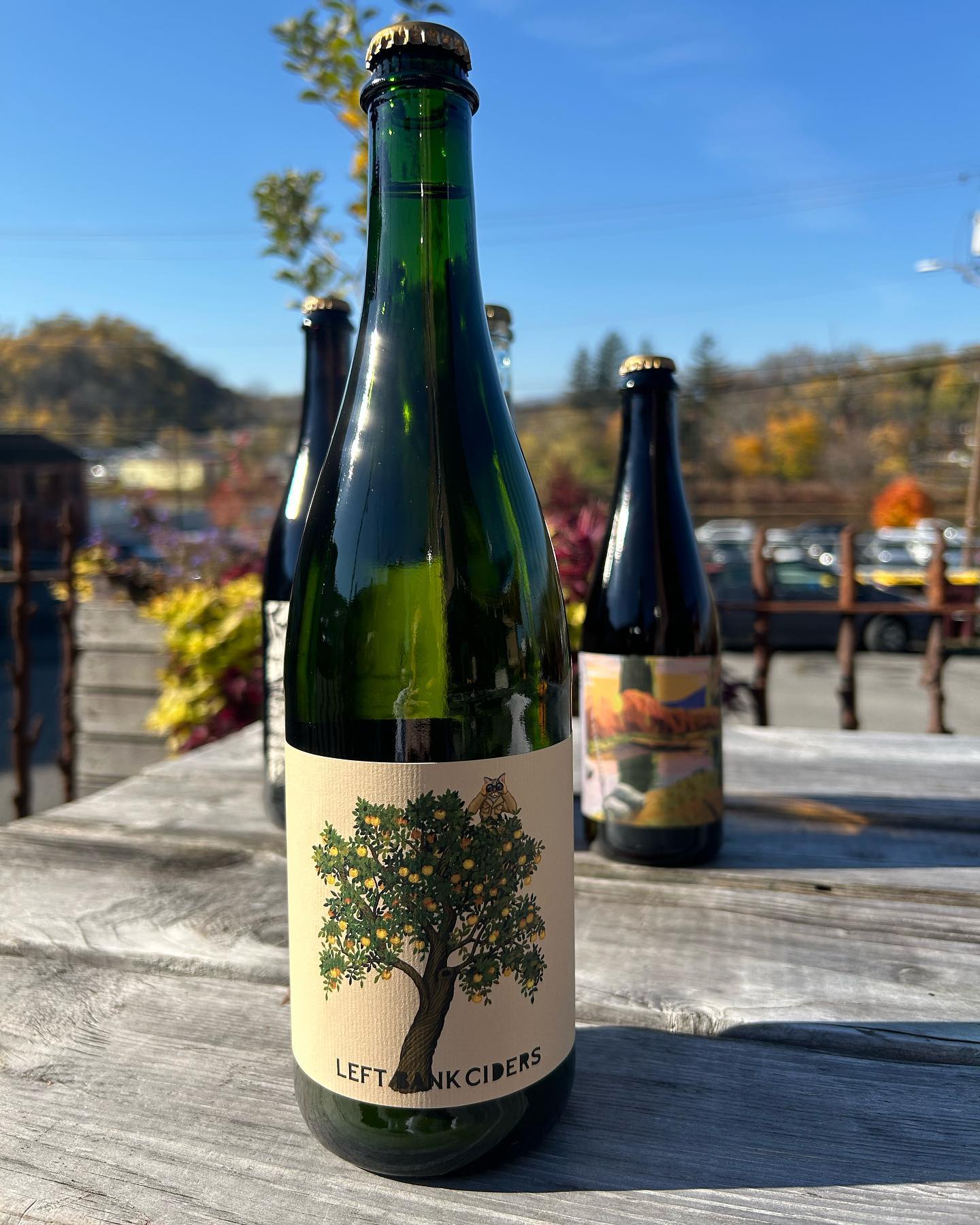 Left Bank Ciders - Hard Cider & Mead | Great Northern Catskills of ...