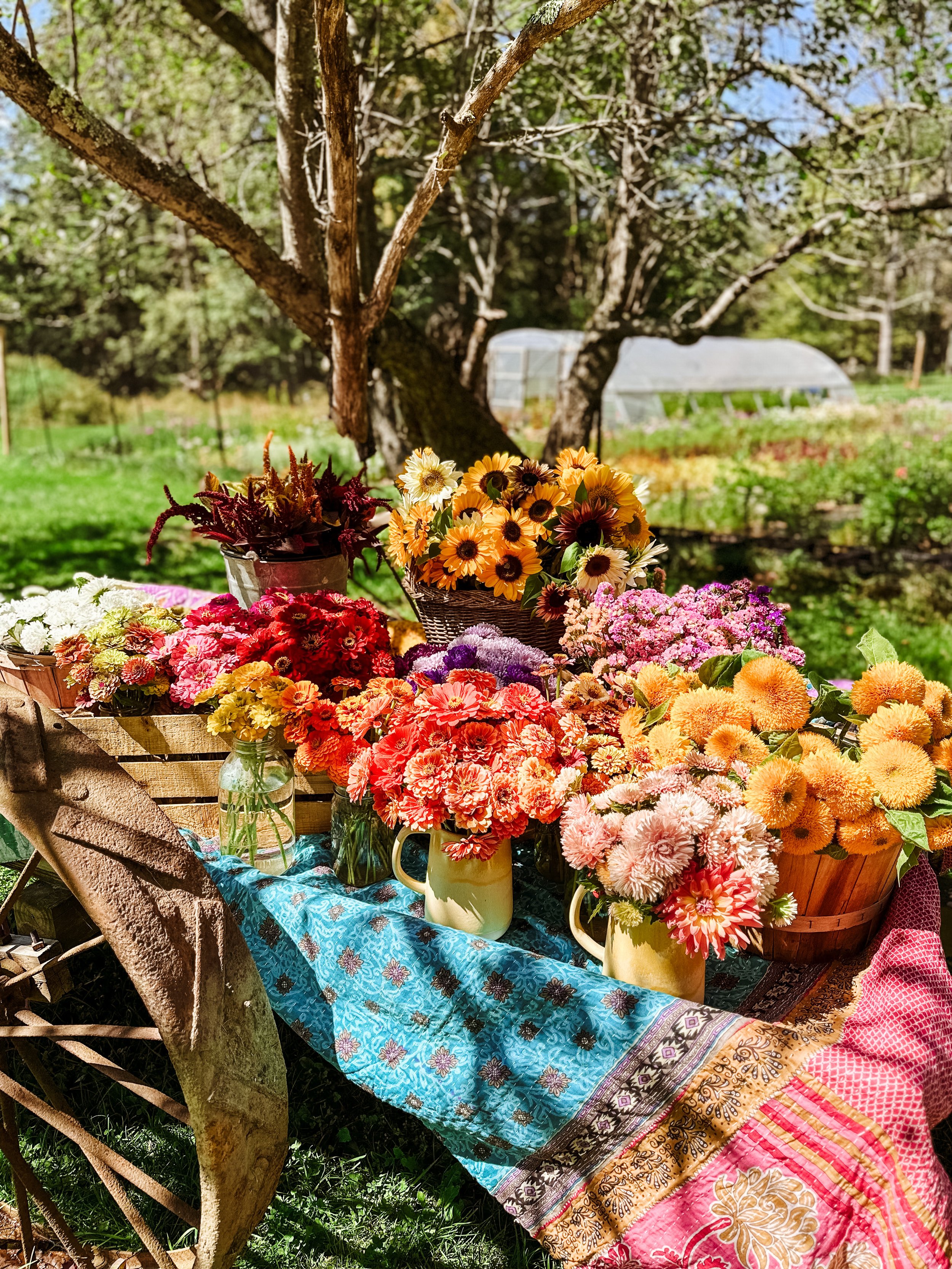 Rooted by Moonlight Meadow Flower Farm | Great Northern Catskills of ...