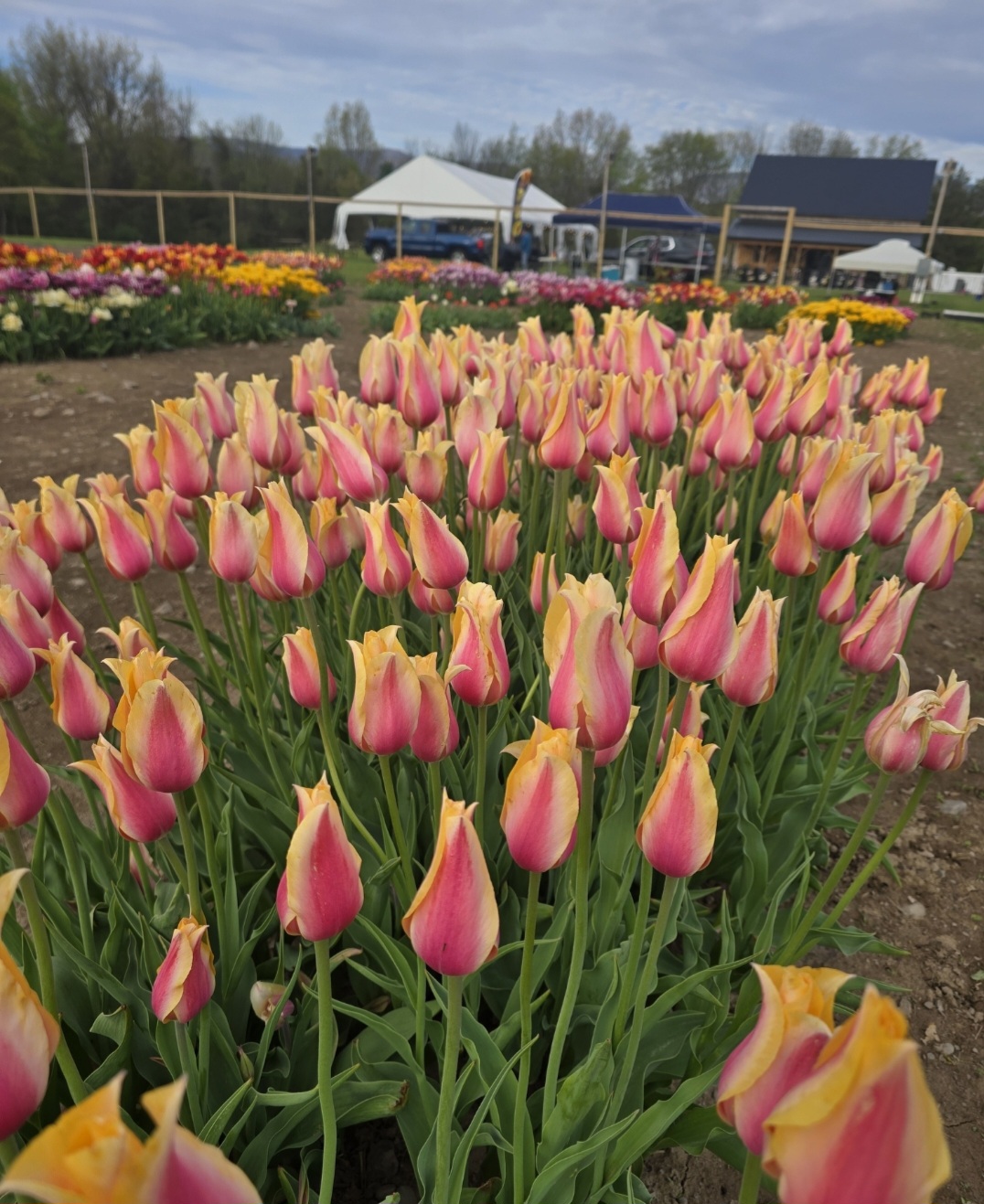 Meadowbrook Farm Catskill | Great Northern Catskills of Greene County