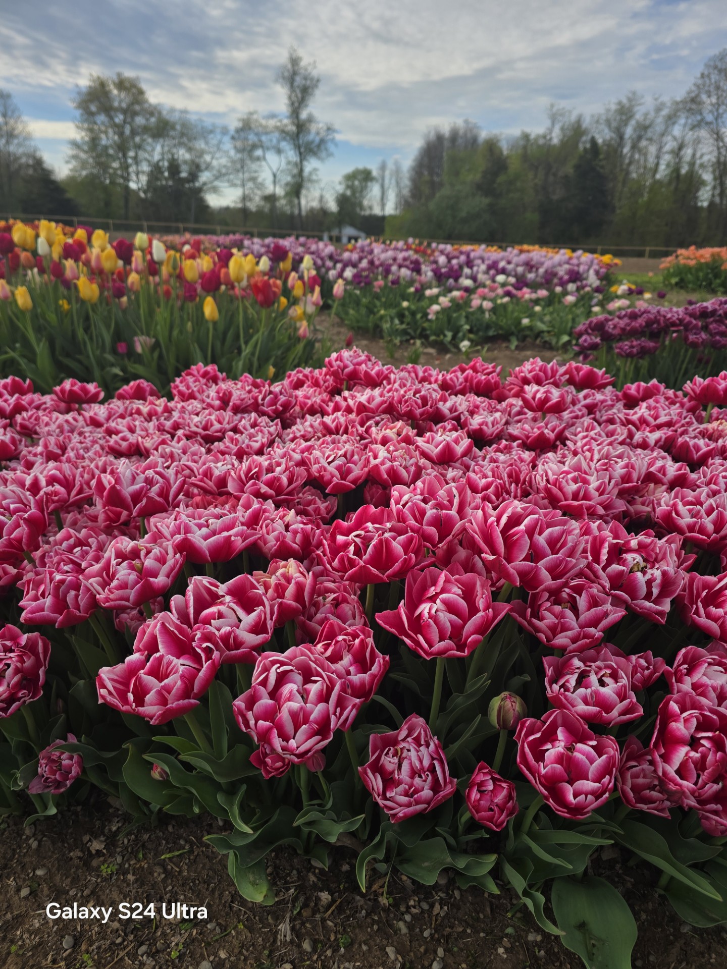 Meadowbrook Farm Catskill | Great Northern Catskills of Greene County