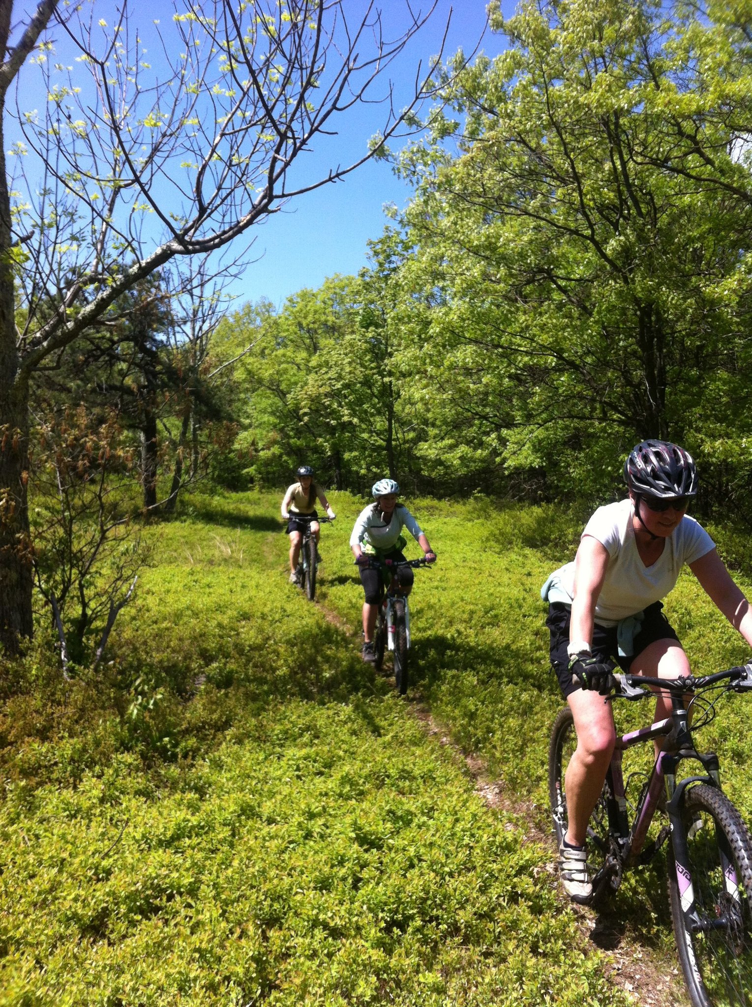 Round Top Trail Network | Great Northern Catskills of Greene County