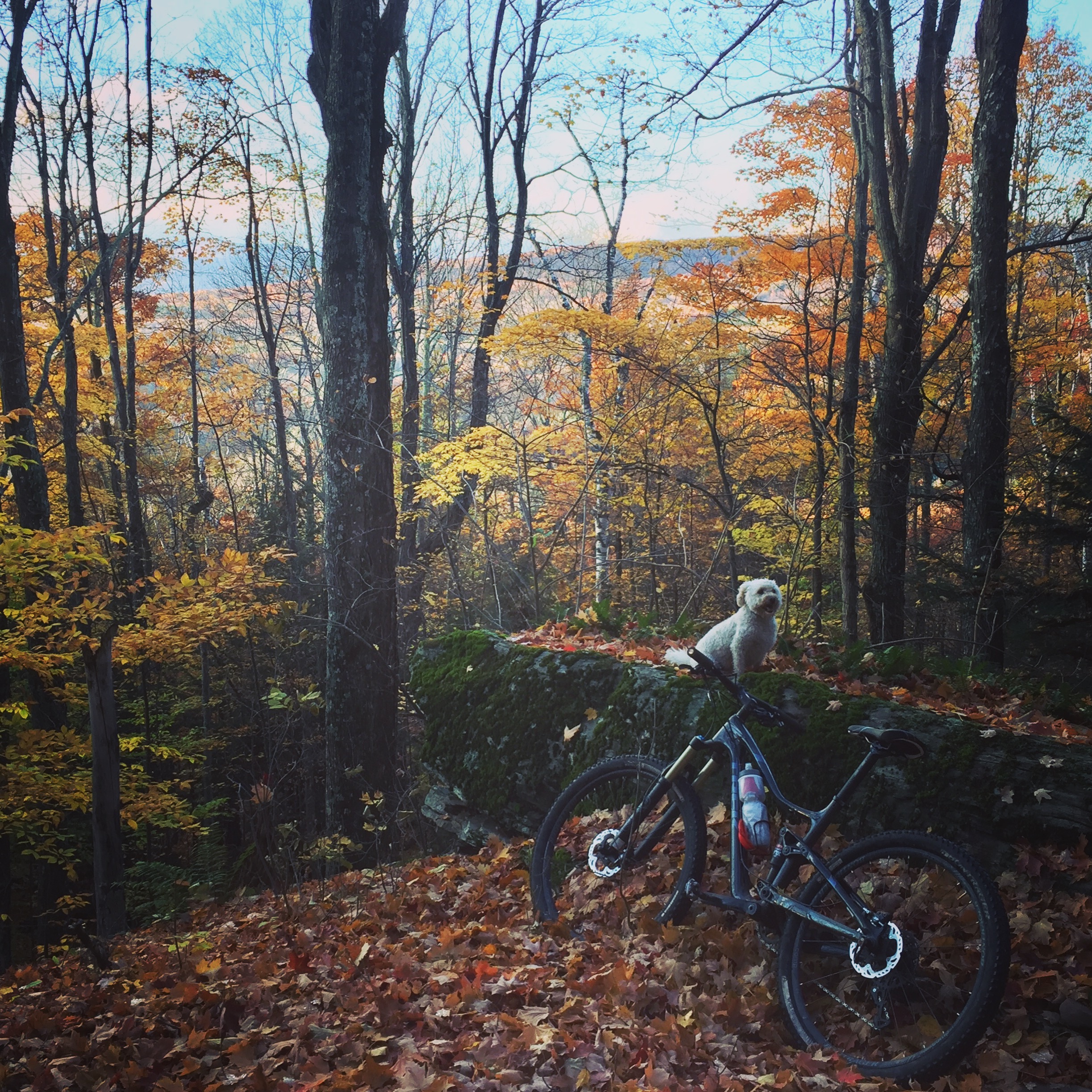 Elm Ridge Trail System | Great Northern Catskills of Greene County