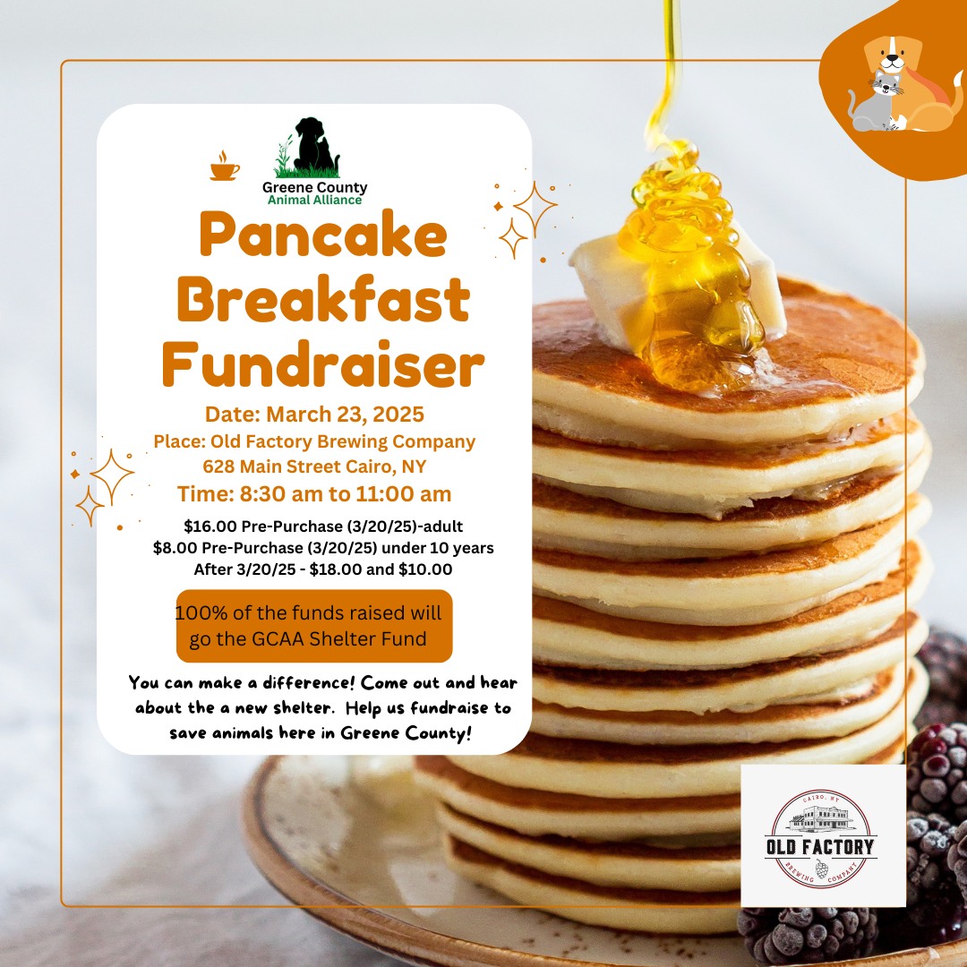 Upcoming Events and Festivals In The Catskills