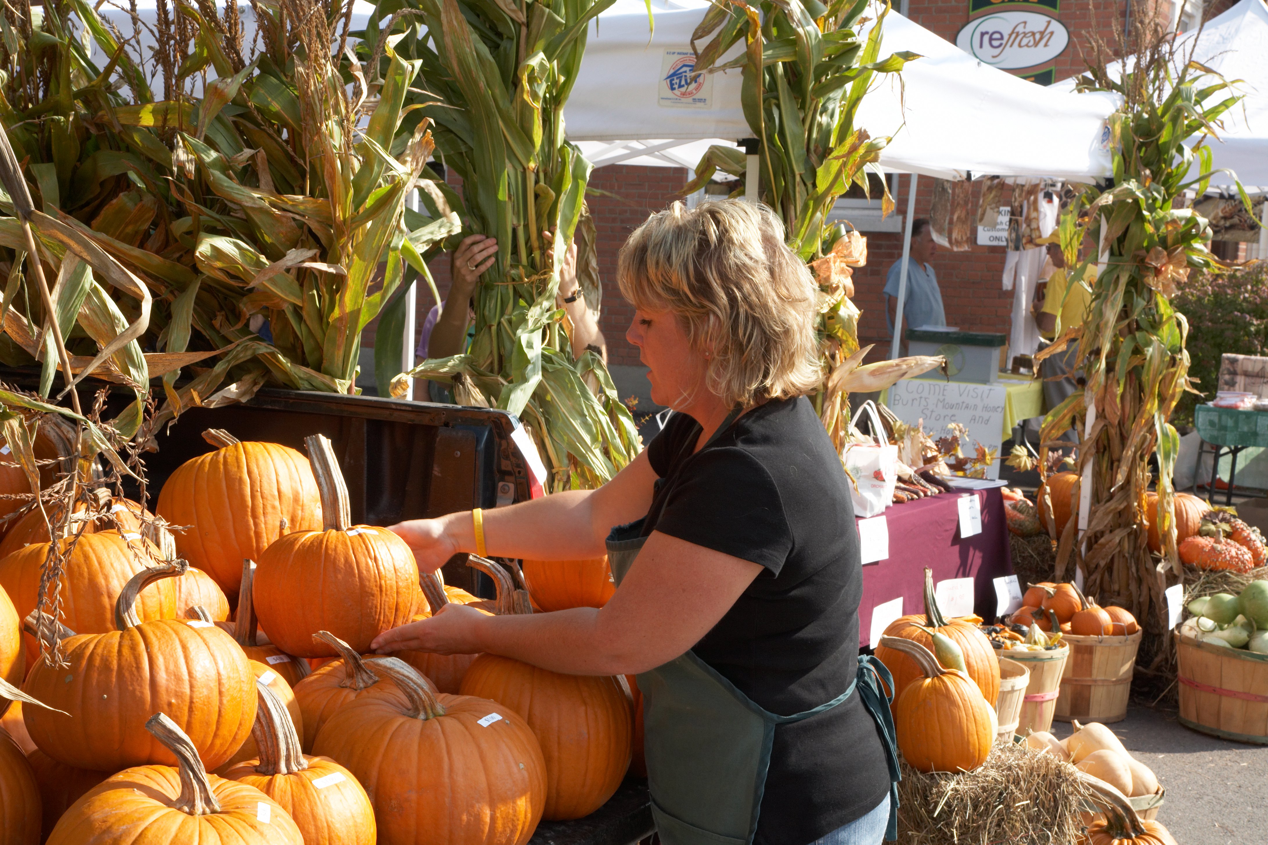 Windham's 31st Annual Autumn Affair | Catskills