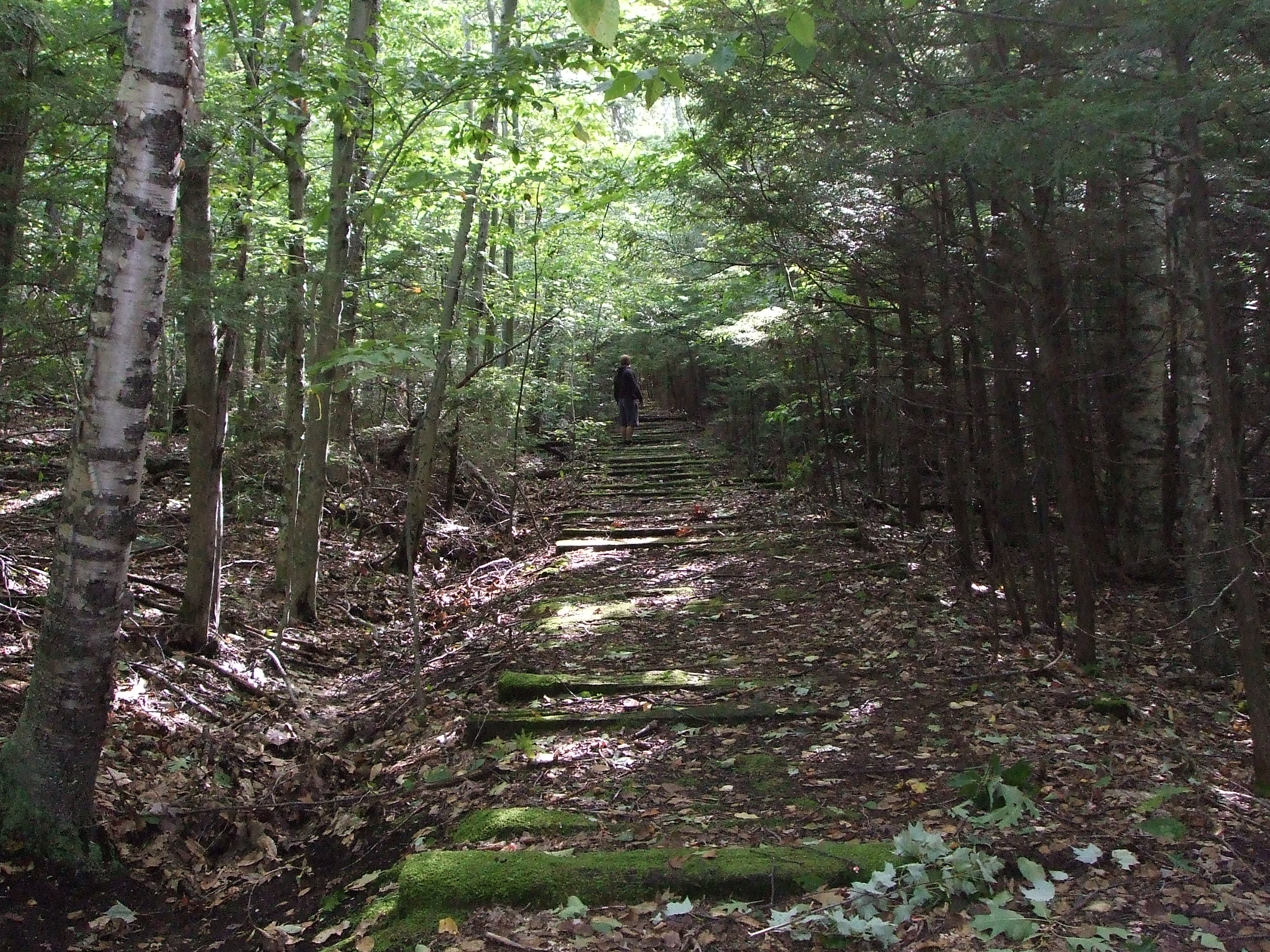 The Kaaterskill Rail Trail | Great Northern Catskills of Greene County