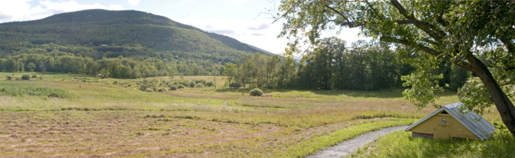 The Windham Path | Great Northern Catskills of Greene County