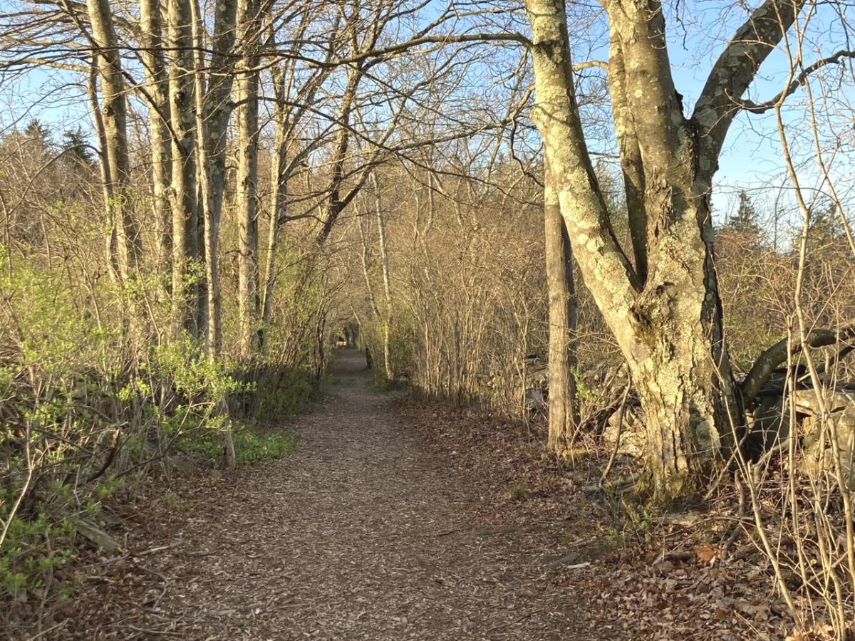George V. Vanderbilt Town Park | Great Northern Catskills