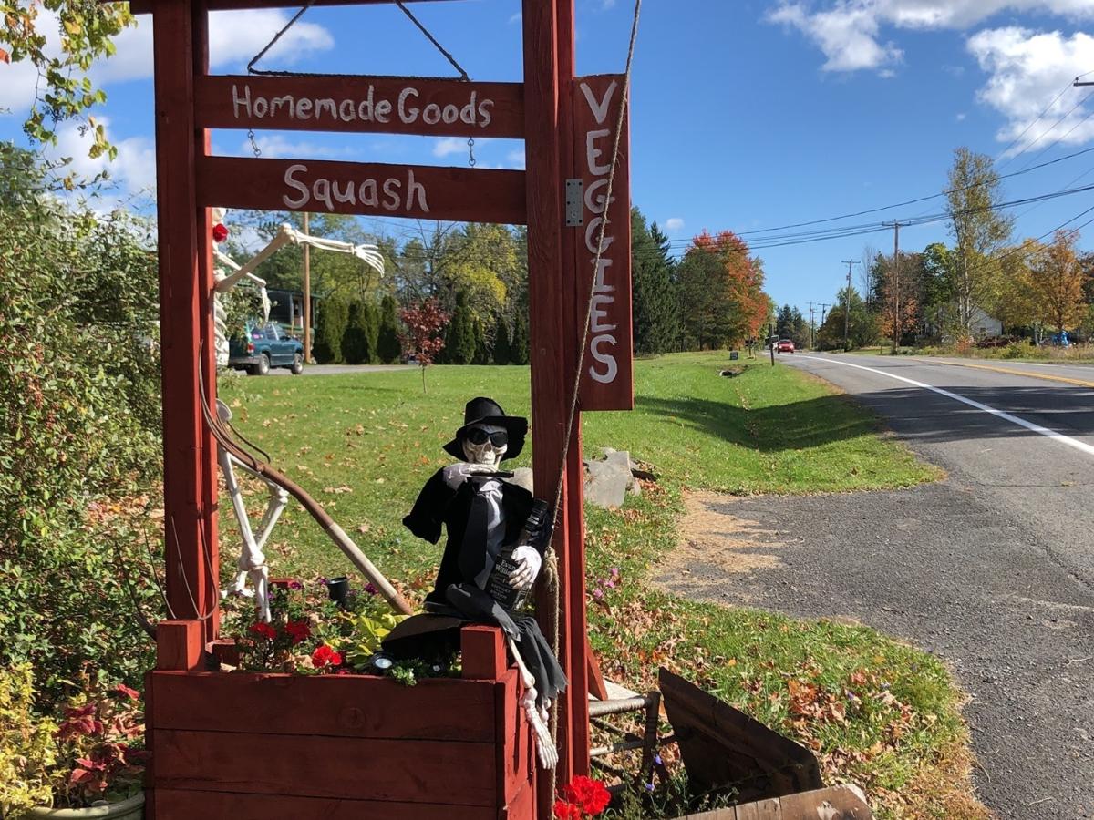 Lazy Day Farm | Great Northern Catskills of Greene County