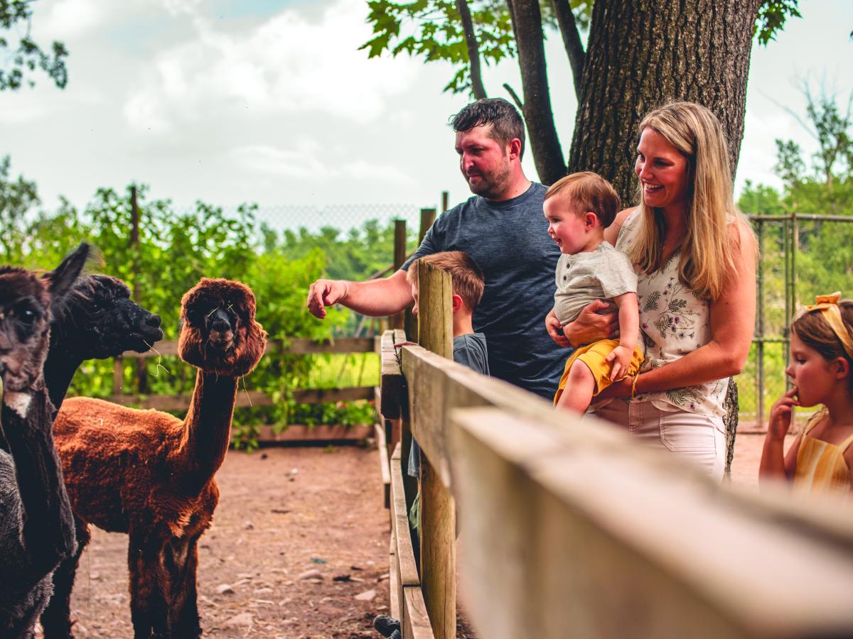 Family Fun - Catskills 2-Day Group Trip Itinerary