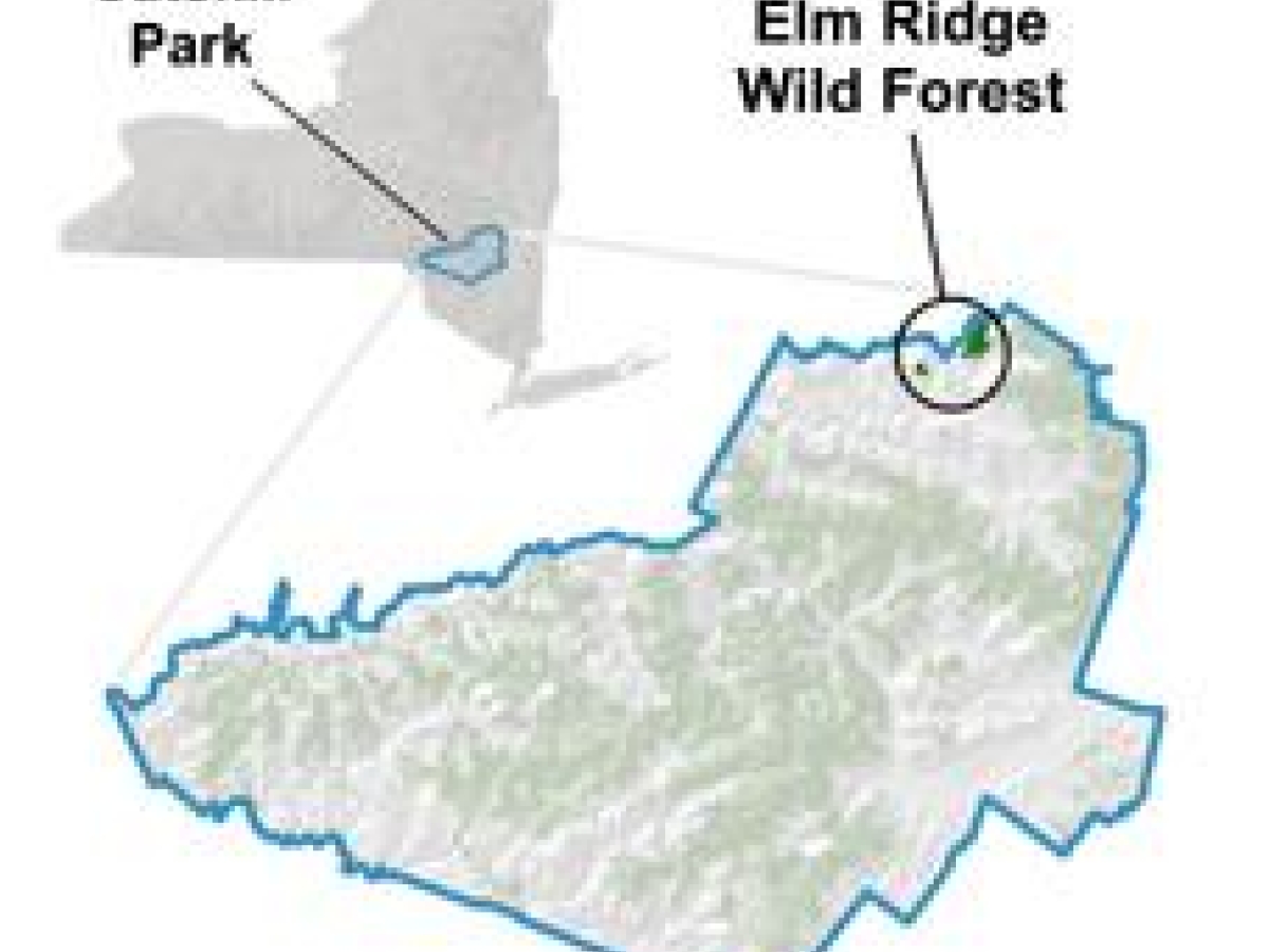 Elm Ridge Wild Forest | Great Northern Catskills of Greene County