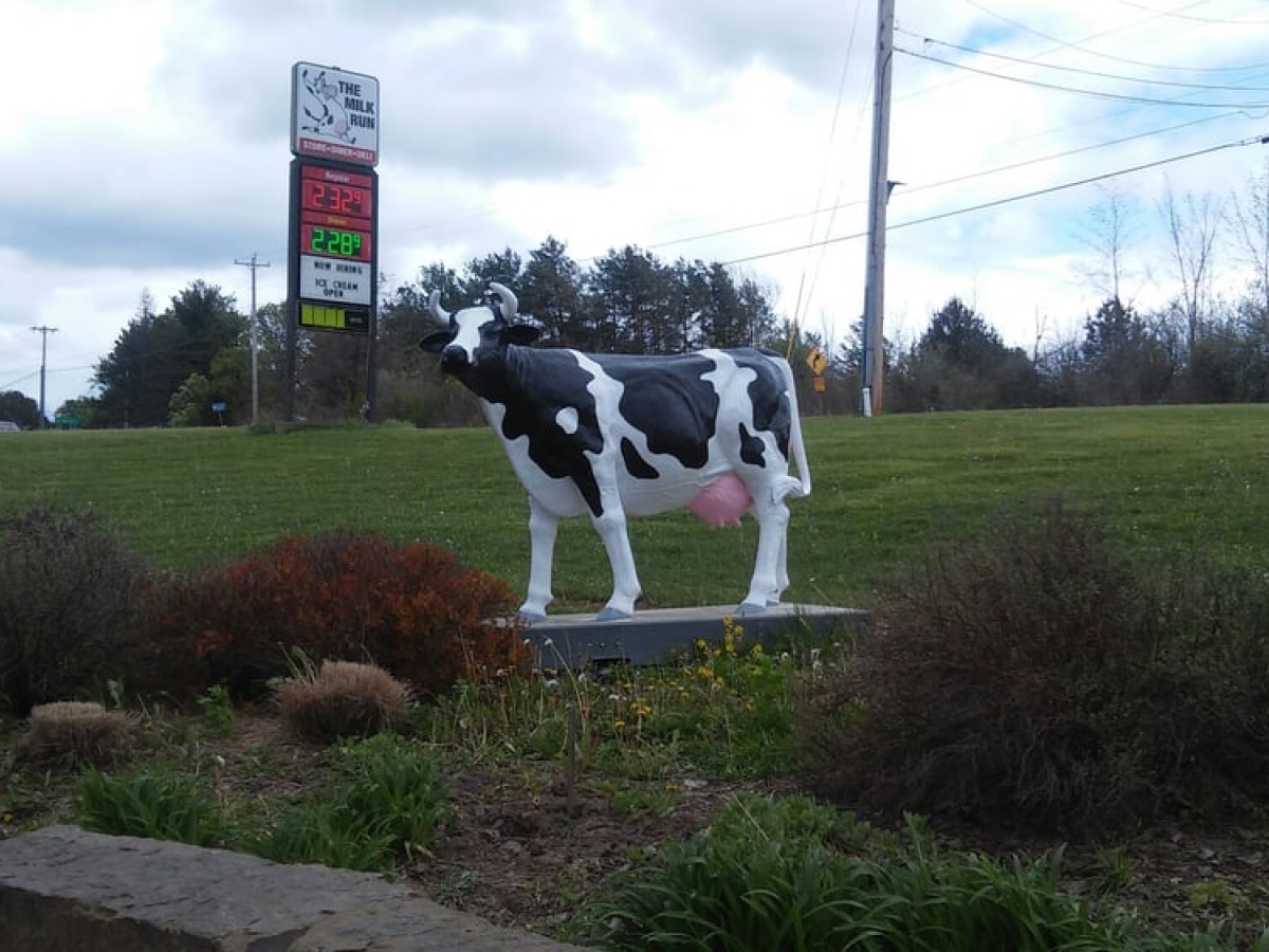 The Milk Run | Great Northern Catskills of Greene County