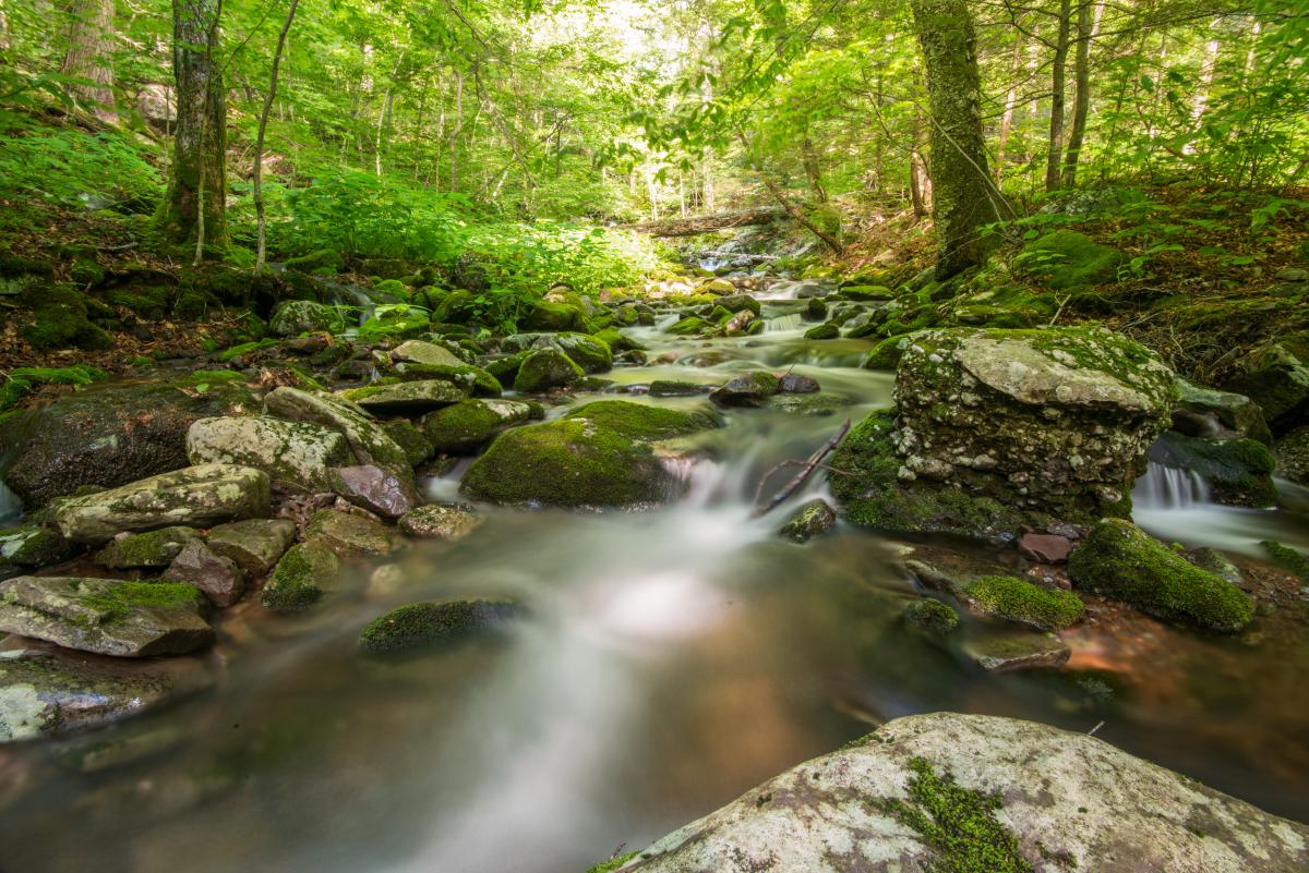Platte Clove Nature Preserve | Great Northern Catskills of Greene County