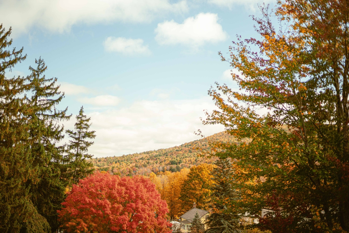 The Henson | Great Northern Catskills of Greene County