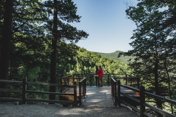 Ultimate List of Things To Do in the Catskill Mountains