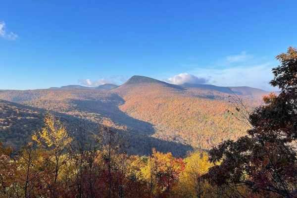 NY Fall Foliage Packages | Save Big This Fall in the Catskills
