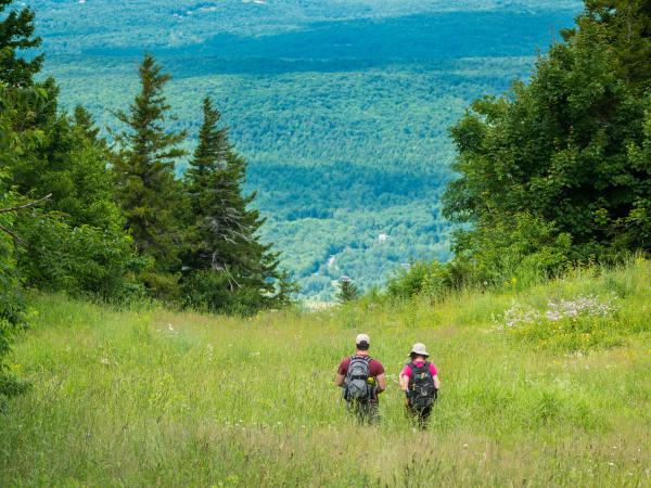 Unique Travel Bucket List Opportunities in the Catskills
