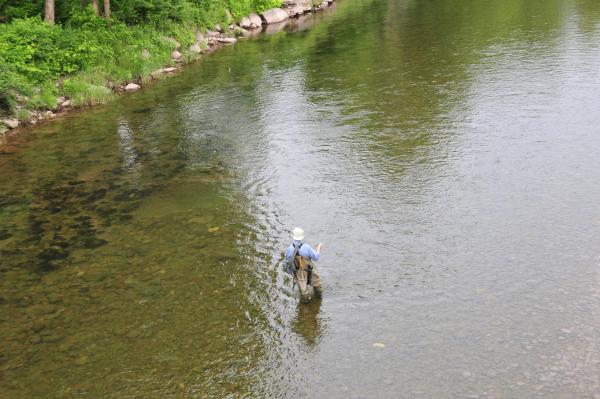 New York Fishing at Its Finest: Fish the Catskills
