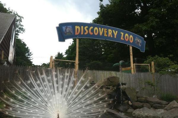 Horseback Riding Areas in Upstate New York – Ranches and Trails