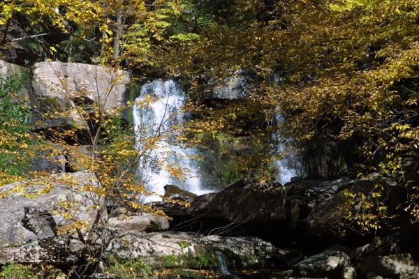 Hiking Waterfall Trails In The New York Catskills – See Our Top Picks